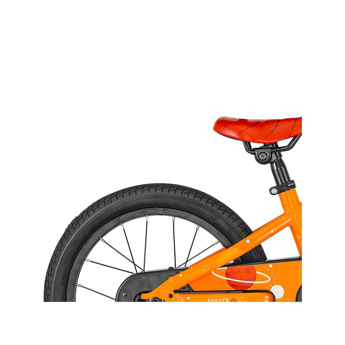 Scott Roxter 16 | BIKER-BOARDER.DE