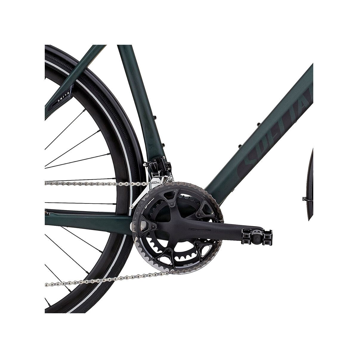 Specialized Source Expert Carbon Disc, satin green carbon tint/charcoal ...